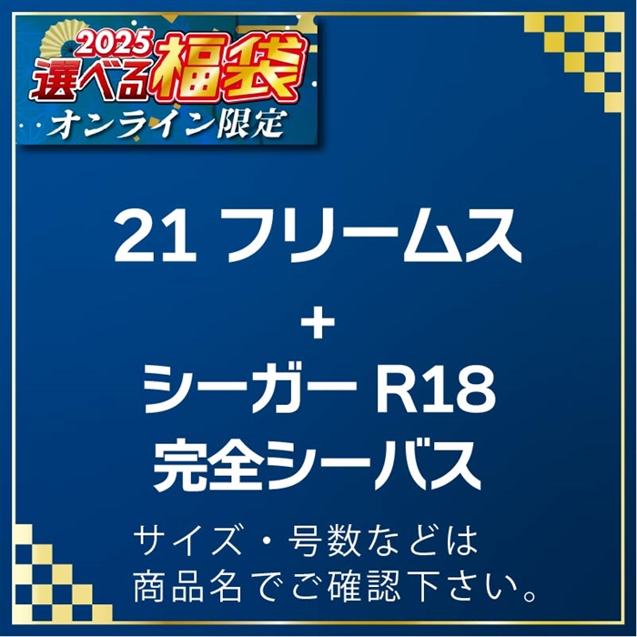 D08-142201 21フリームスLT4000-C & シーガーR18 完全シーバス GY 150m 1 #25選べる福袋の口コミ一覧 ...
